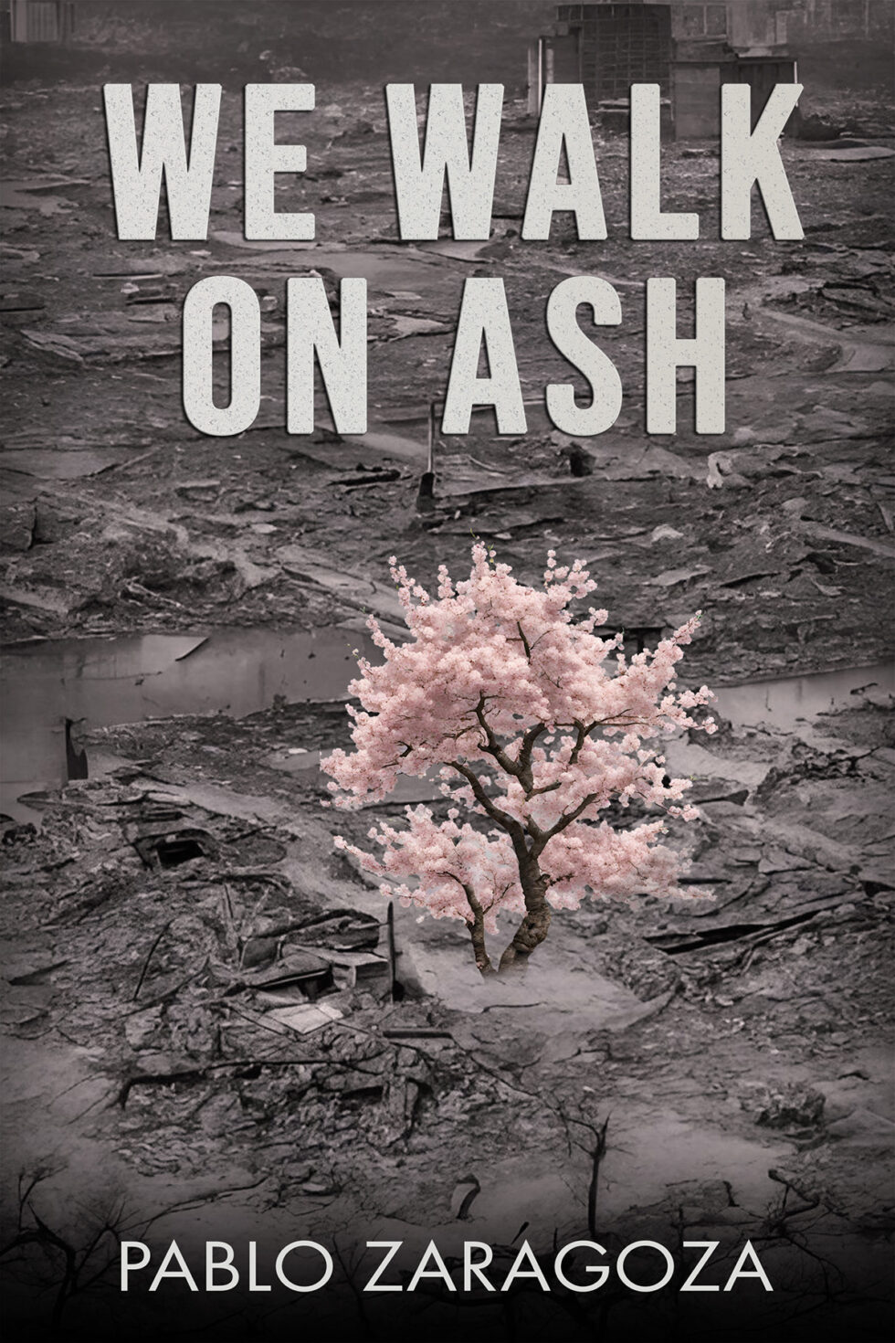 We Walk On Ash - Pablo Zaragoza